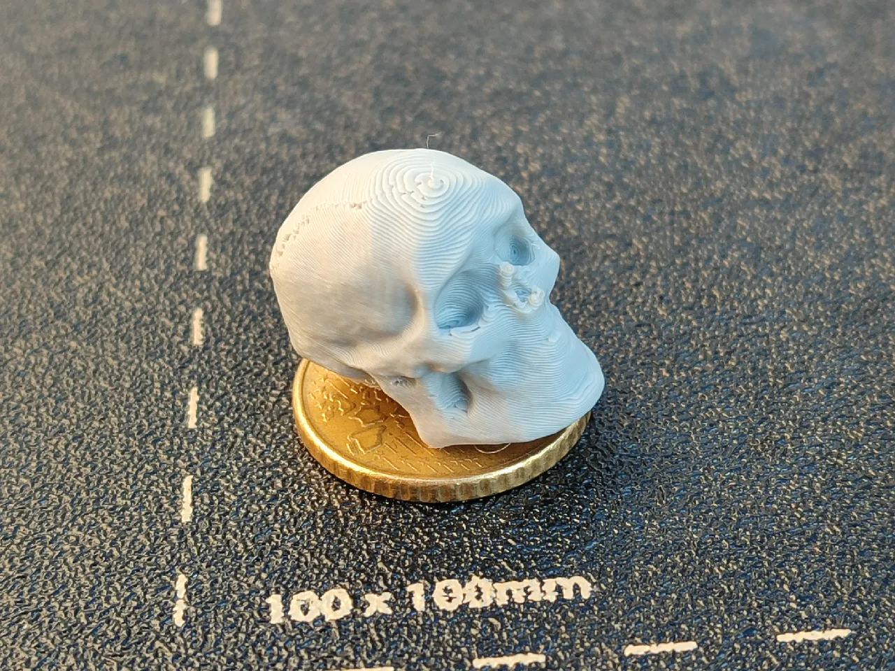skull by yakk3time | Download free STL model | Printables.com