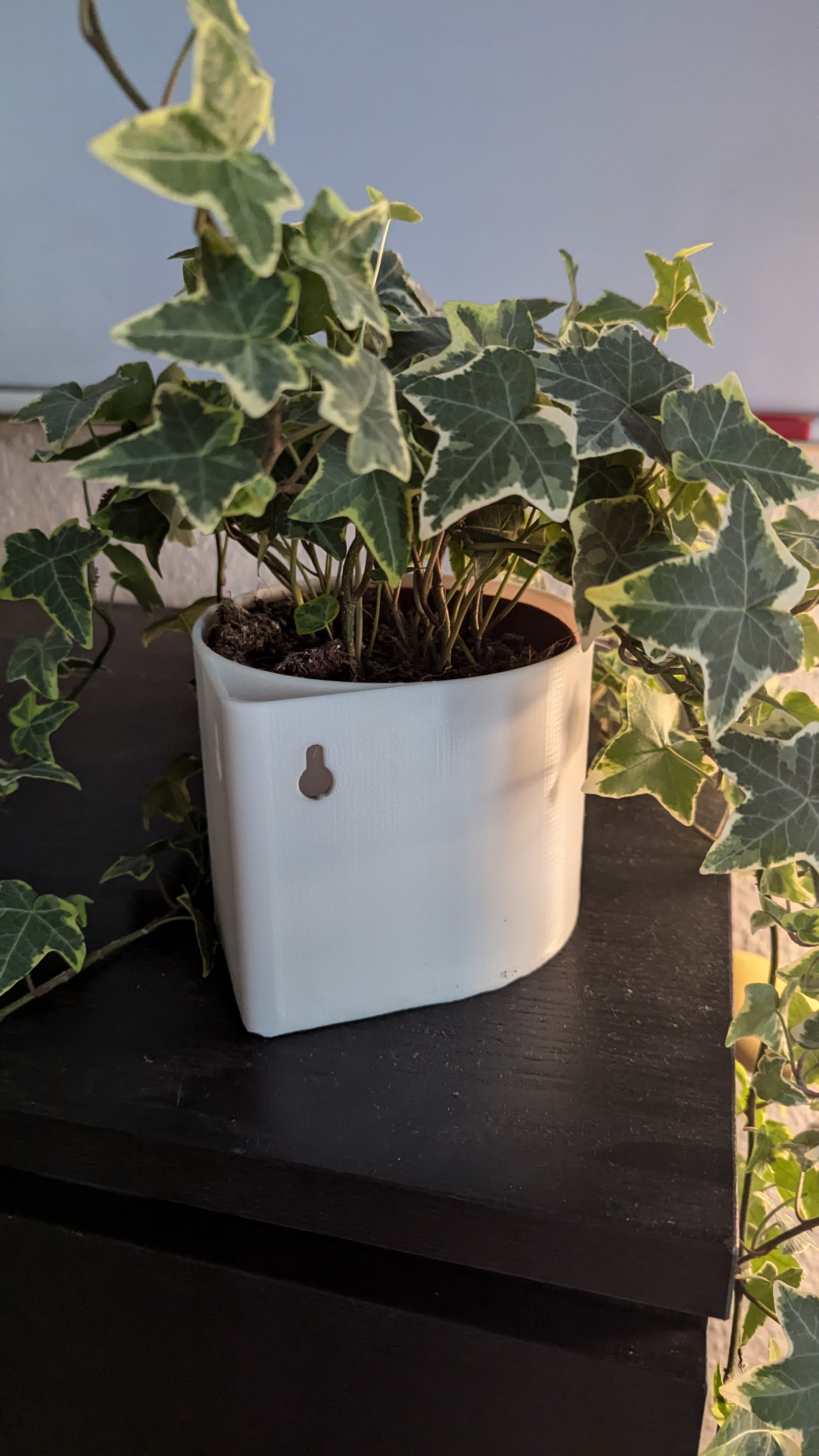 Corner Wall Plant Pot by Parzival | Download free STL model ...