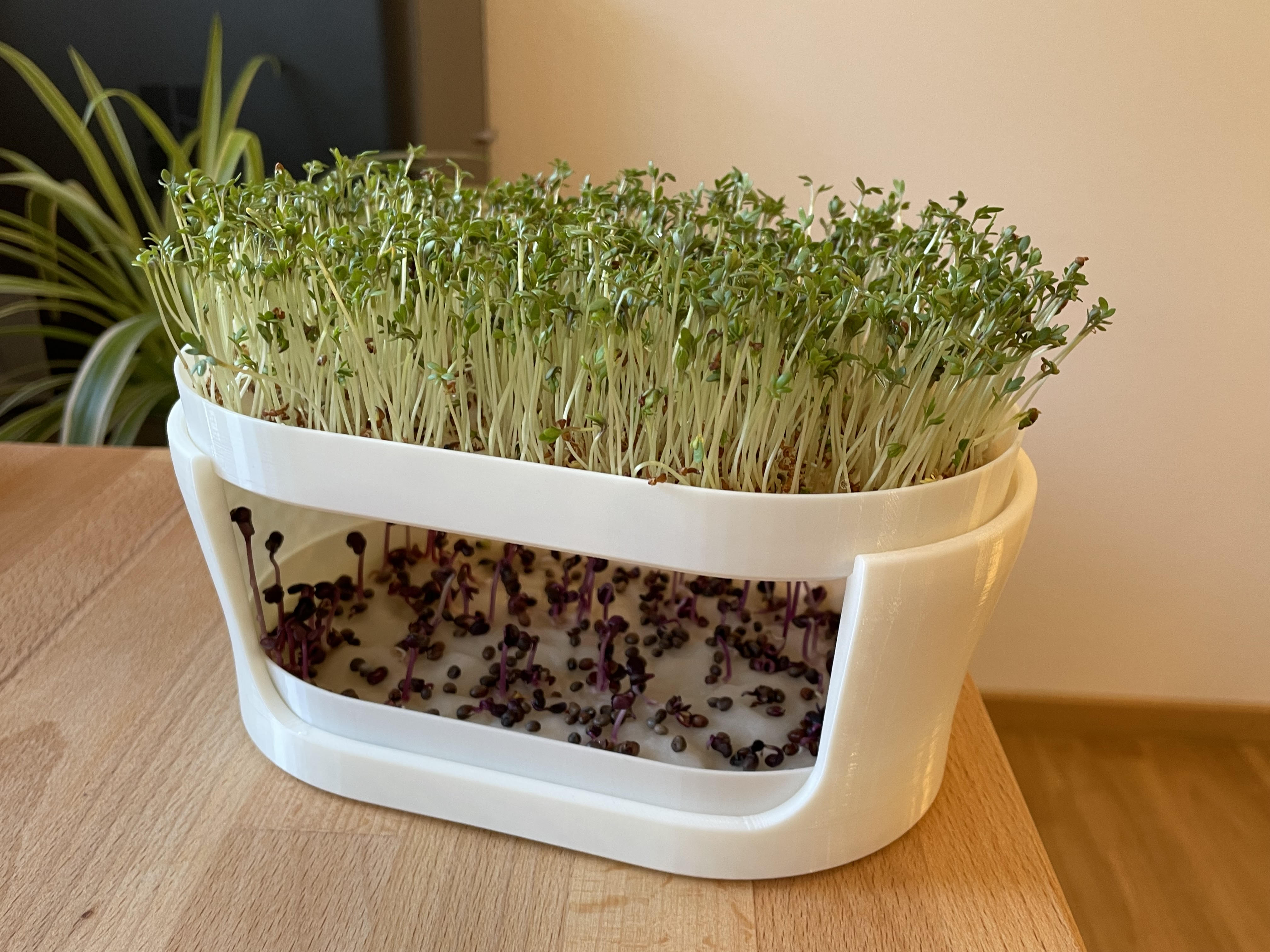 Tiered Planter for Sprouts & Waterkress by Pulsar Designs | Download ...