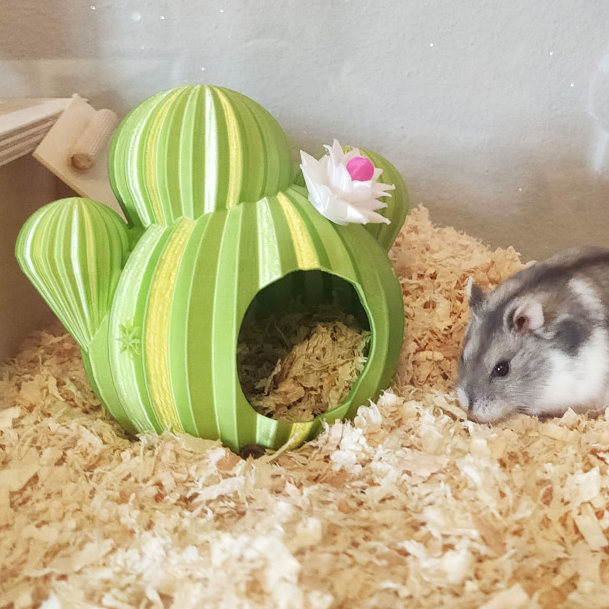 Hamster House "Spiky Spot" by PrintMyNest | Download free STL model ...