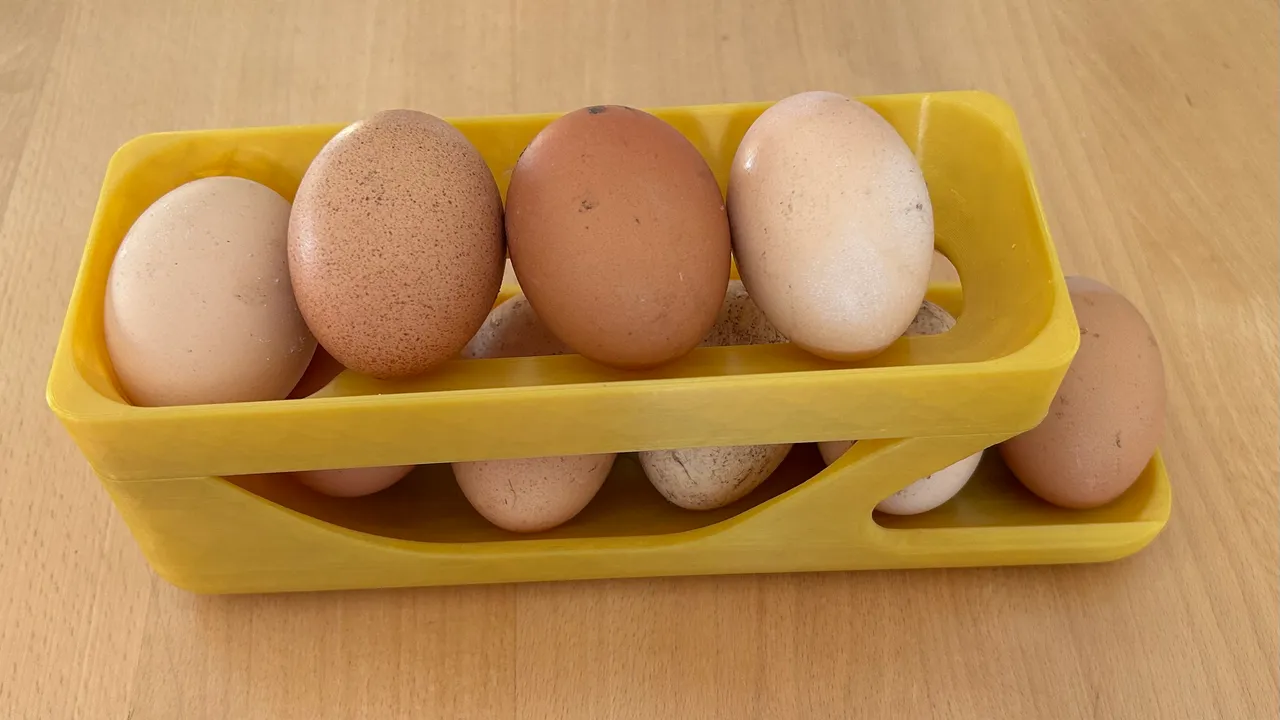 egg dispenser by stoh4321 | Download free STL model | Printables.com