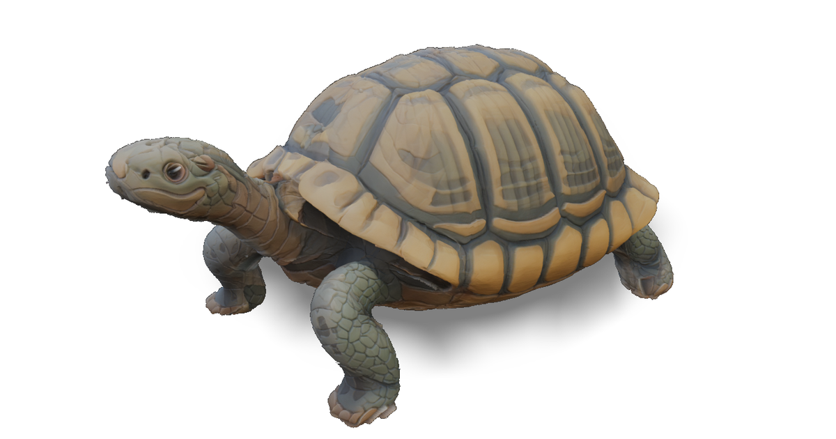 Hacki turtle - Tartaruga Hacki by Hacki Lab | Download free STL model ...