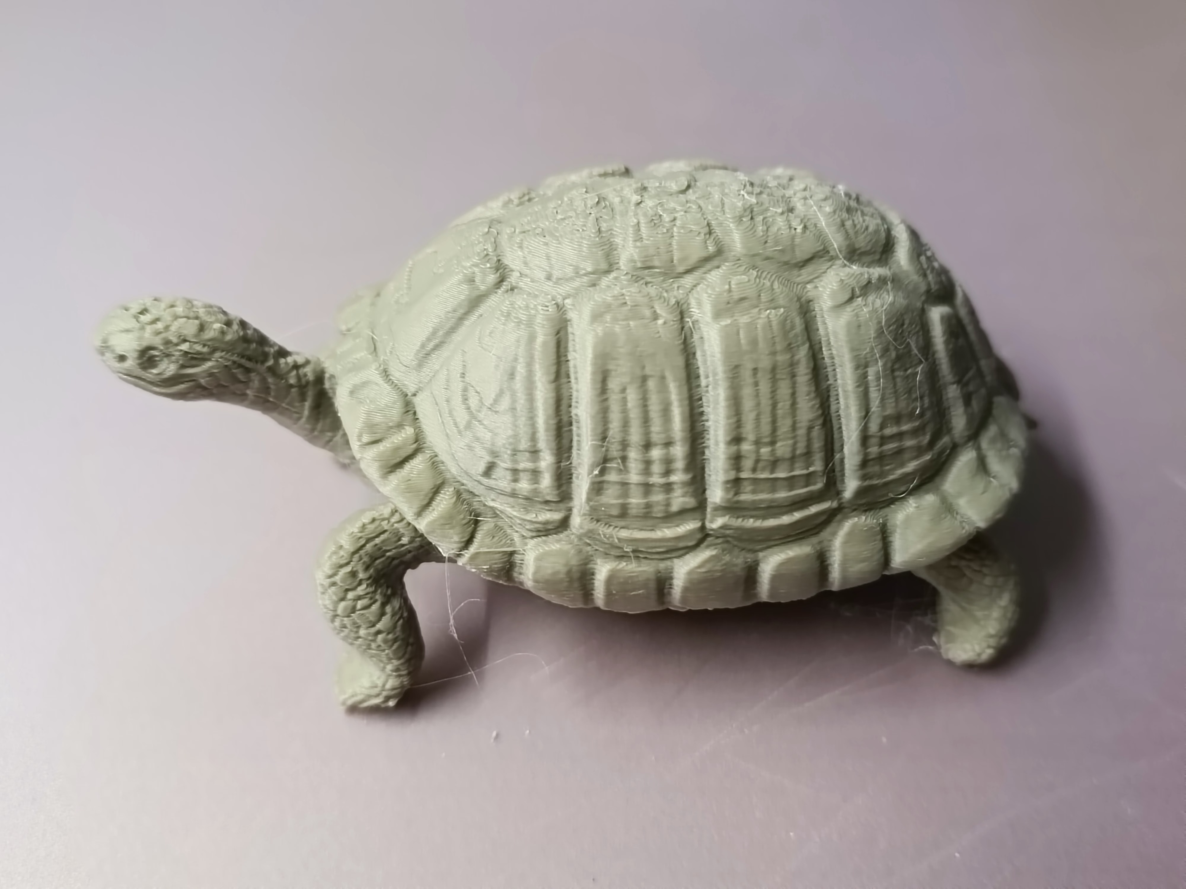 Hacki turtle - Tartaruga Hacki by Hacki Lab | Download free STL model ...