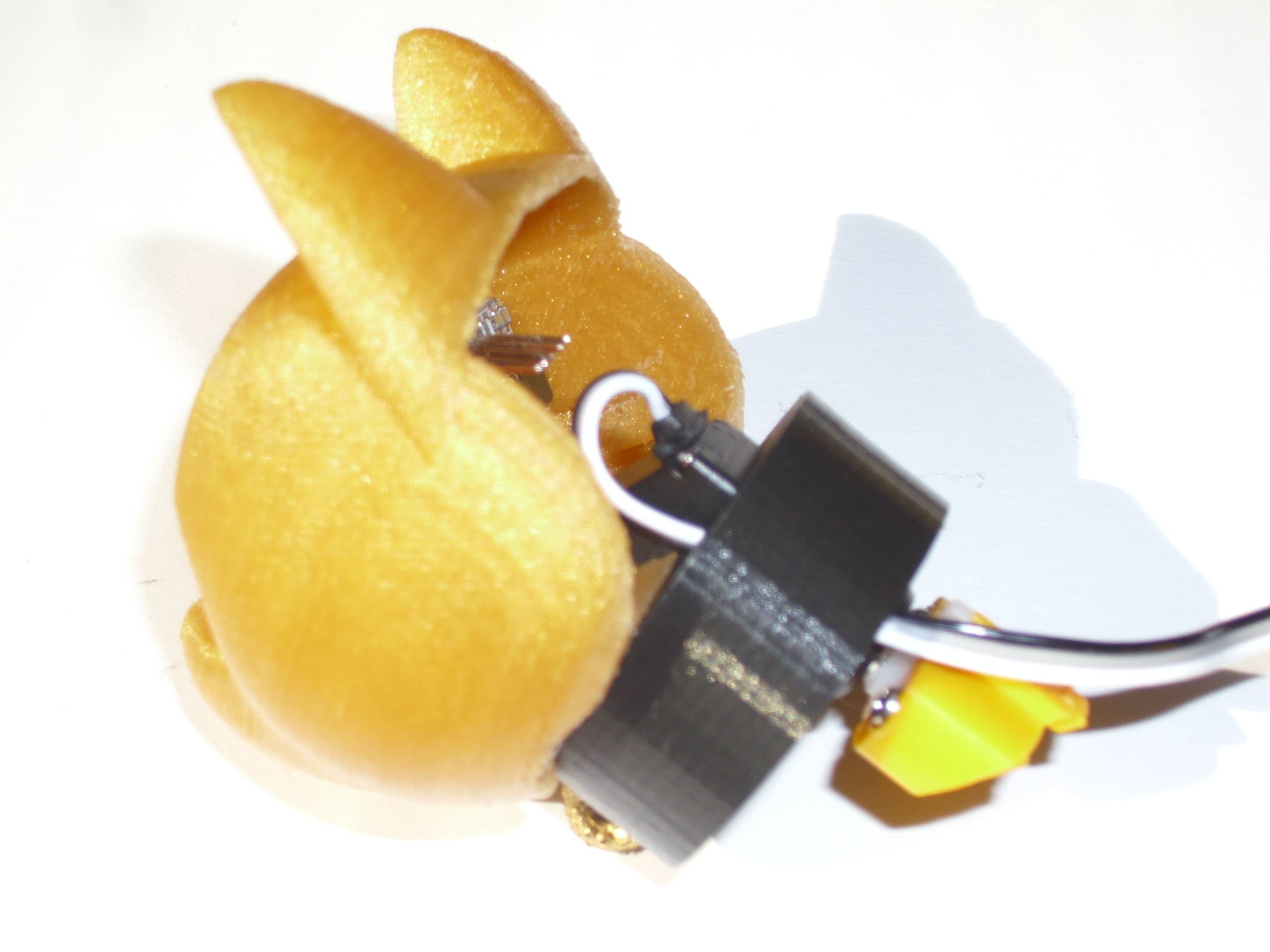 Servo mounted Cat Head with Distance Sensor by Don Patrick | Download ...