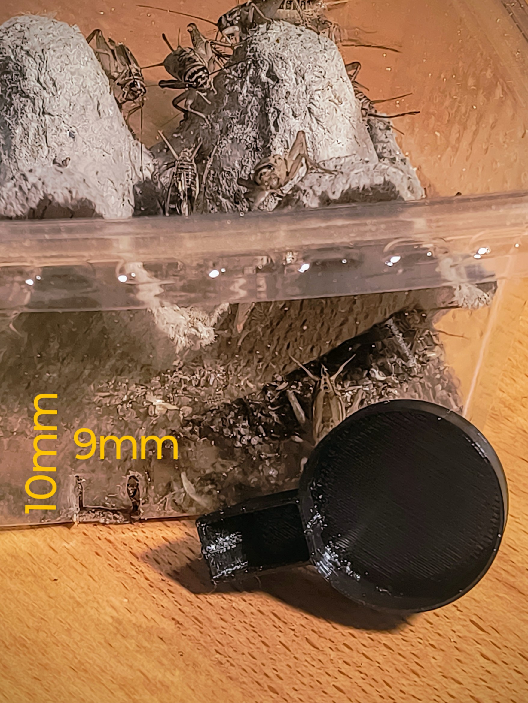 Water dish for feeding insects by Michal Pešek | Download free STL ...