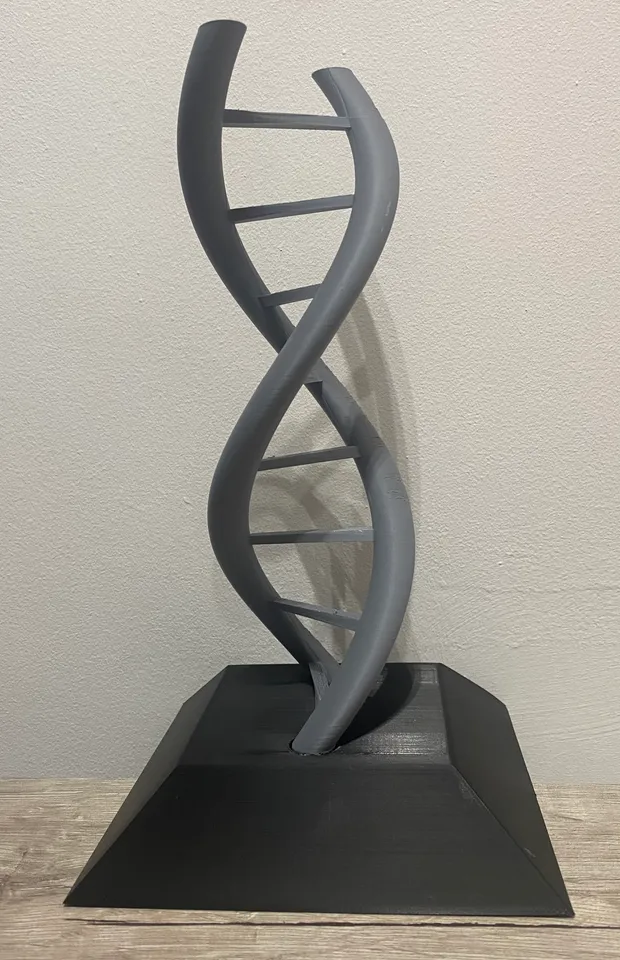 DNA Helix structure by NkMeta | Download free STL model | Printables.com