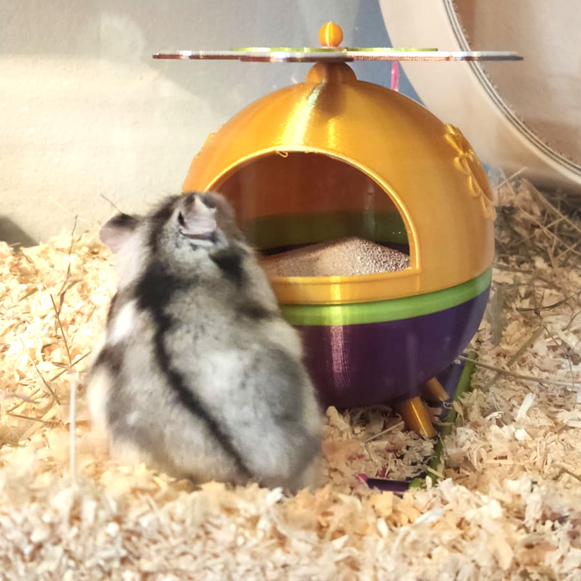 Hamster Sandbath "Sandy Swirl" by PrintMyNest | Download free STL model ...