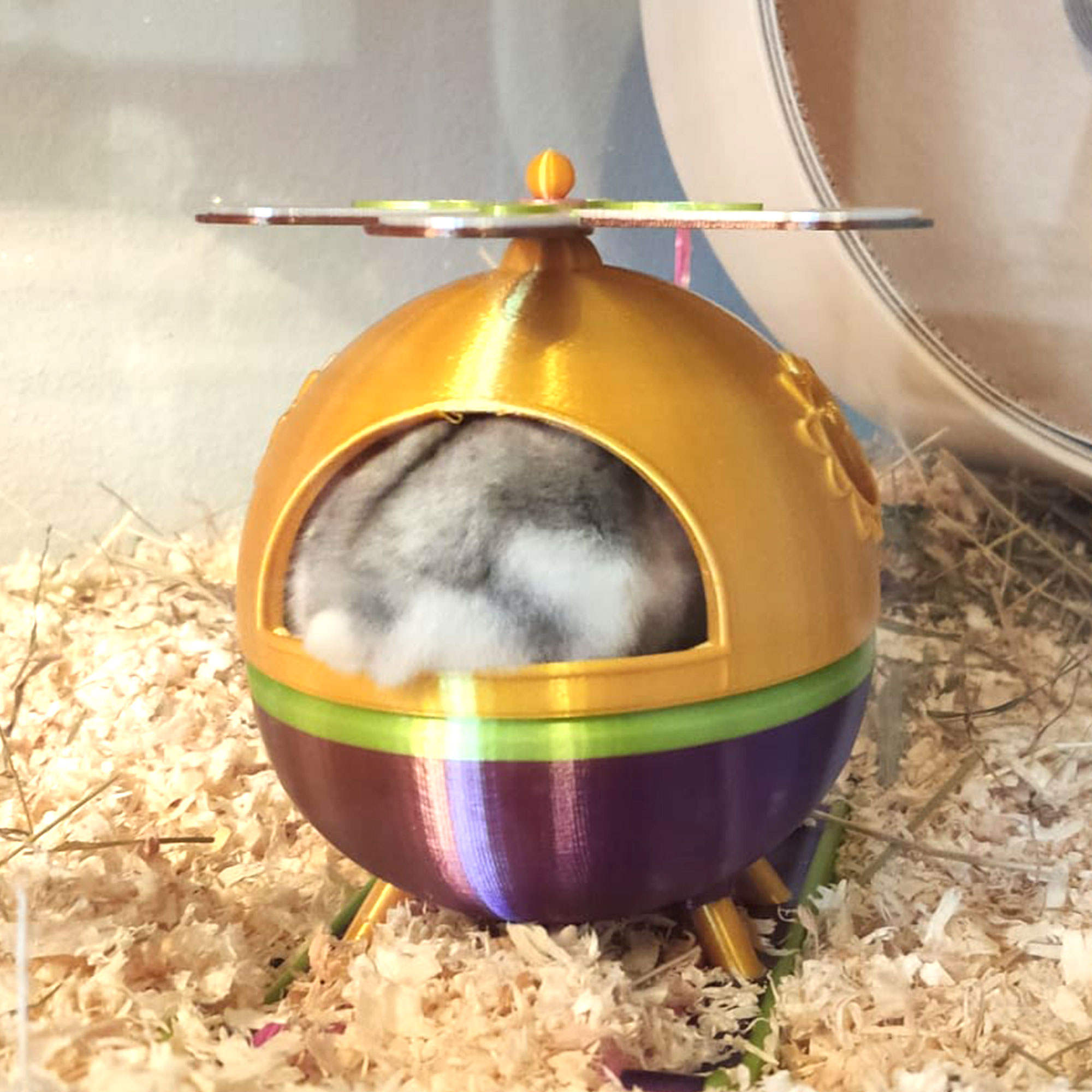 Hamster Sandbath "Sandy Swirl" by PrintMyNest | Download free STL model ...