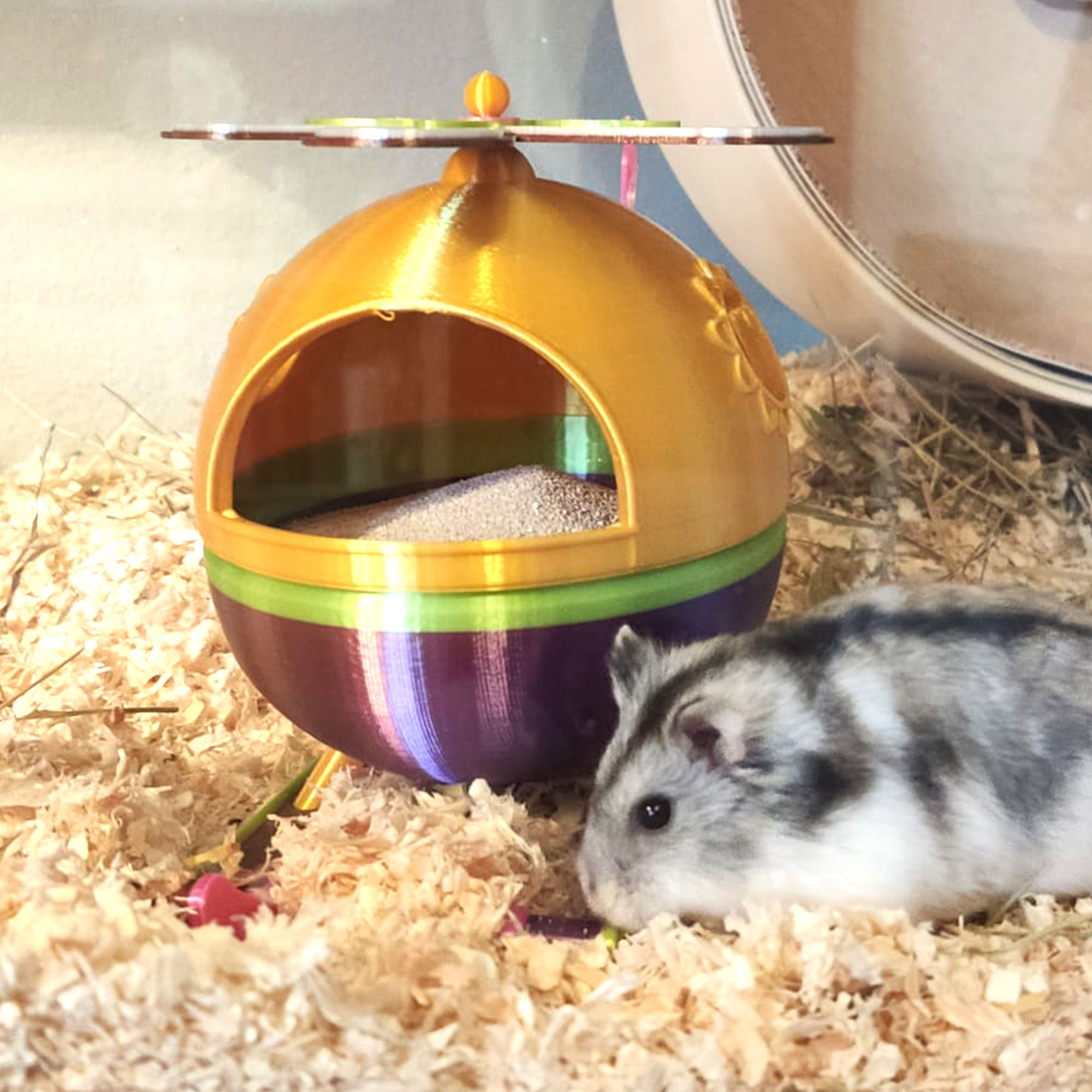 Hamster Sandbath "Sandy Swirl" by PrintMyNest | Download free STL model ...