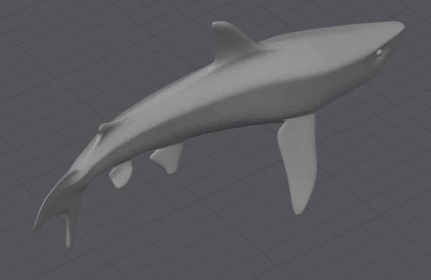Shark Display by ElLosteaux | Download free STL model | Printables.com