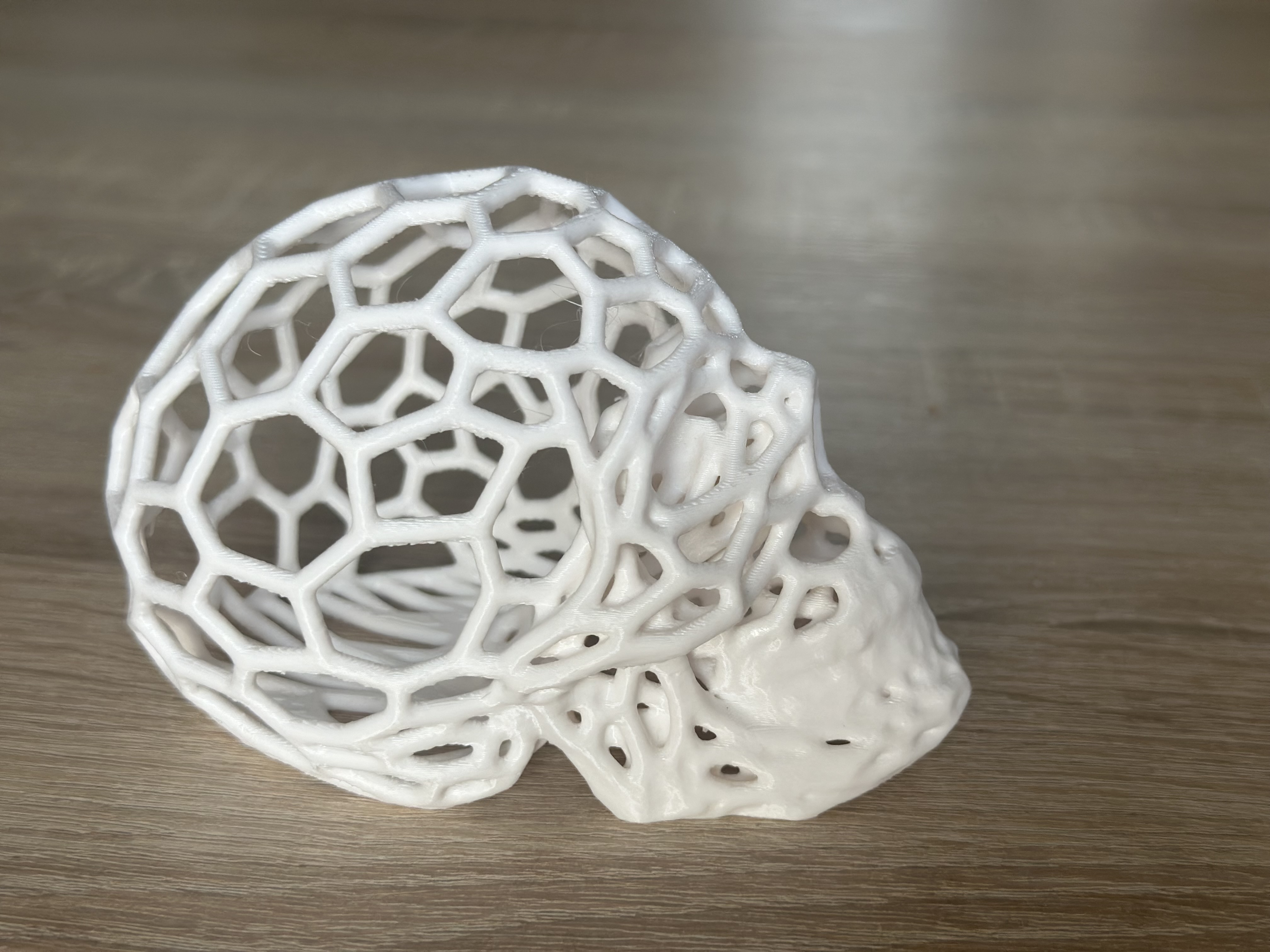 Skull voronoi by 3Dmar | Download free STL model | Printables.com