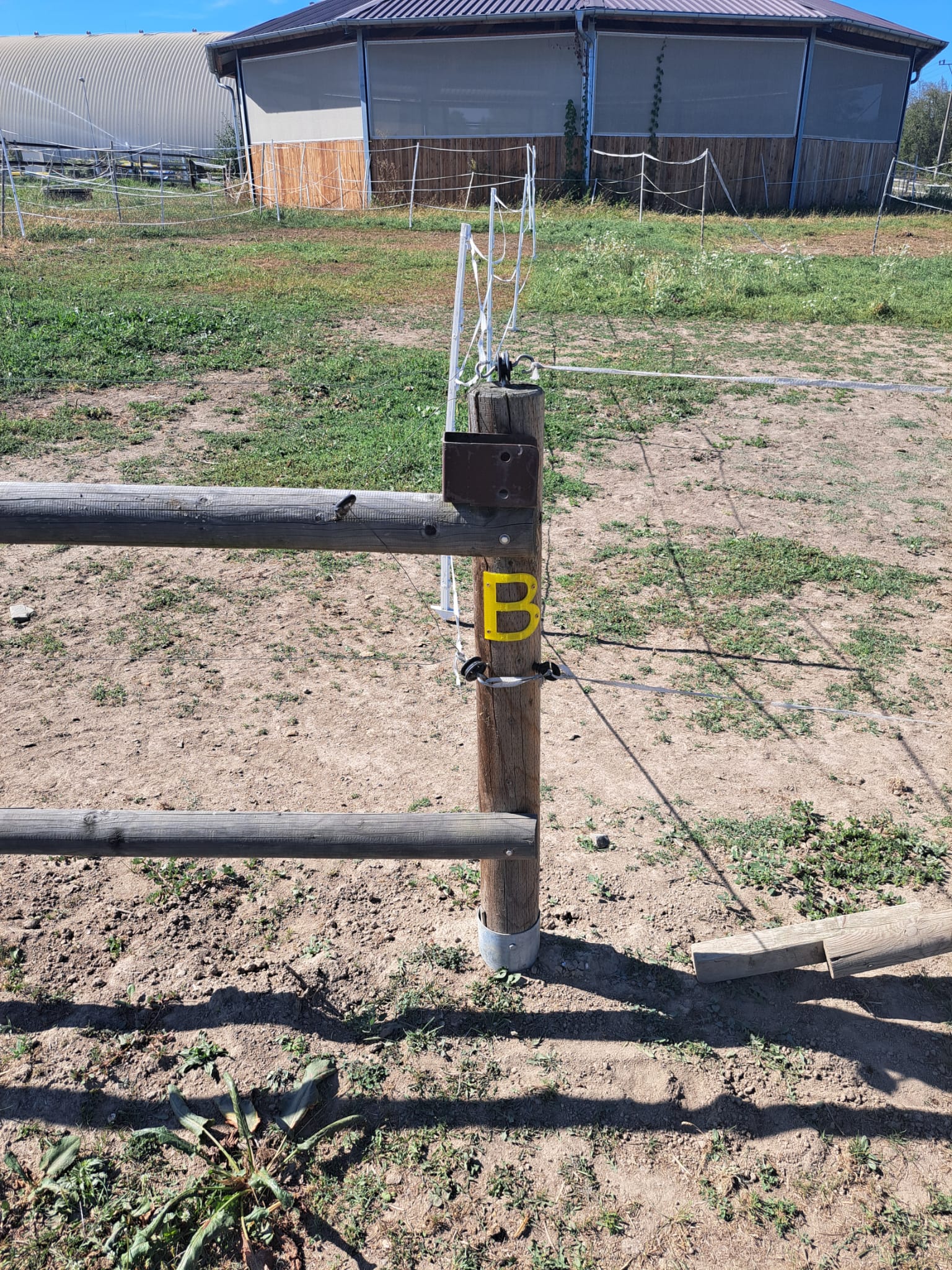 Curved screwable letters by 3dprintree | Download free STL model ...