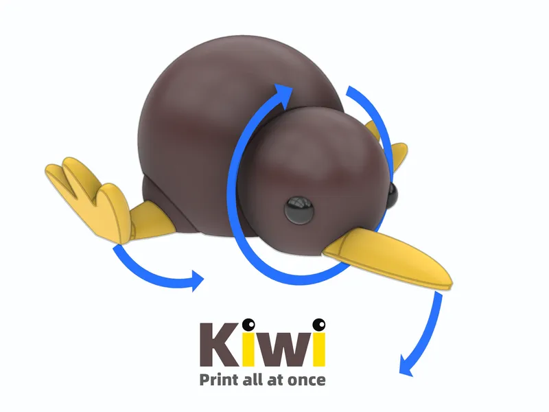 Kiwi by wuguigui | Download free STL model | Printables.com