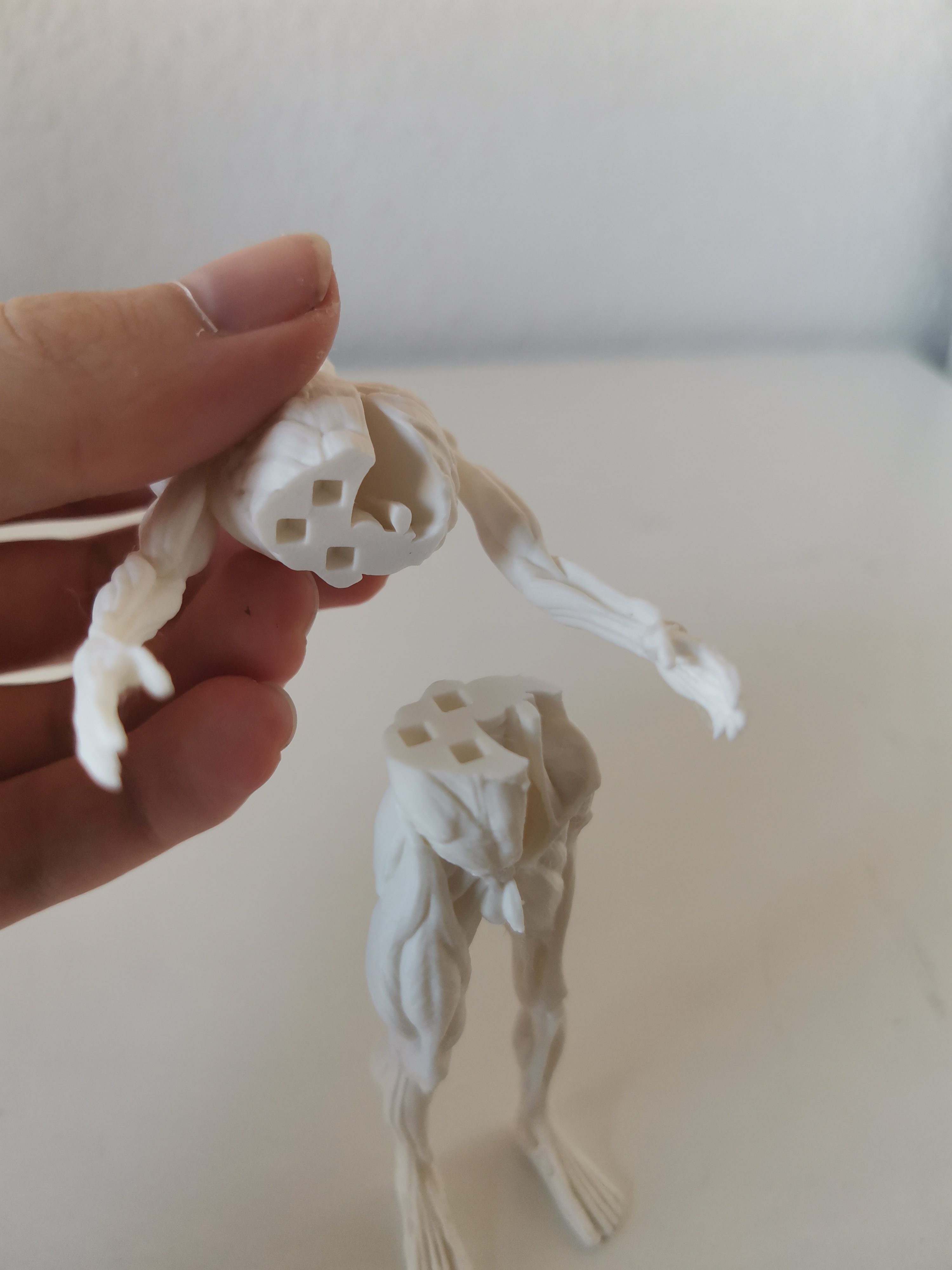 Ecorche (Easy Assembly) - Human Anatomy (12 cm tall) by Xipit ...