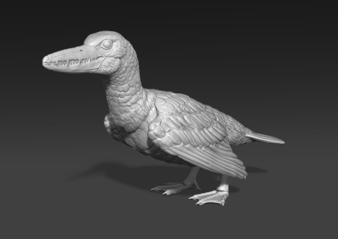 Pelagornis Figurine by DragonArtist15 | Download free STL model ...