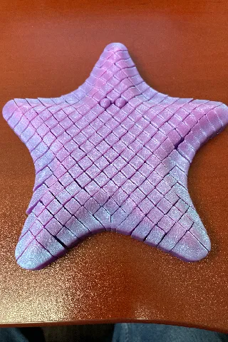 Starfish Fidget by Quoc Ly | Download free STL model | Printables.com